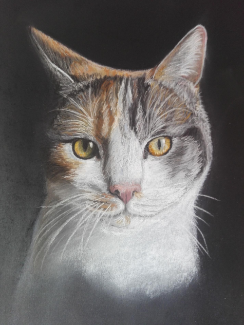 Cat | Smells Like Art | Smells Like Art